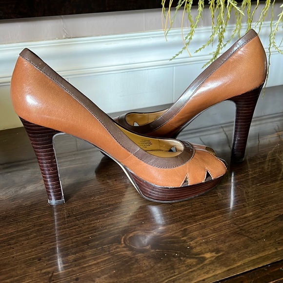 Shoes | Audrey Brooke Dress Platform Pumps Size 75 M | Poshmark